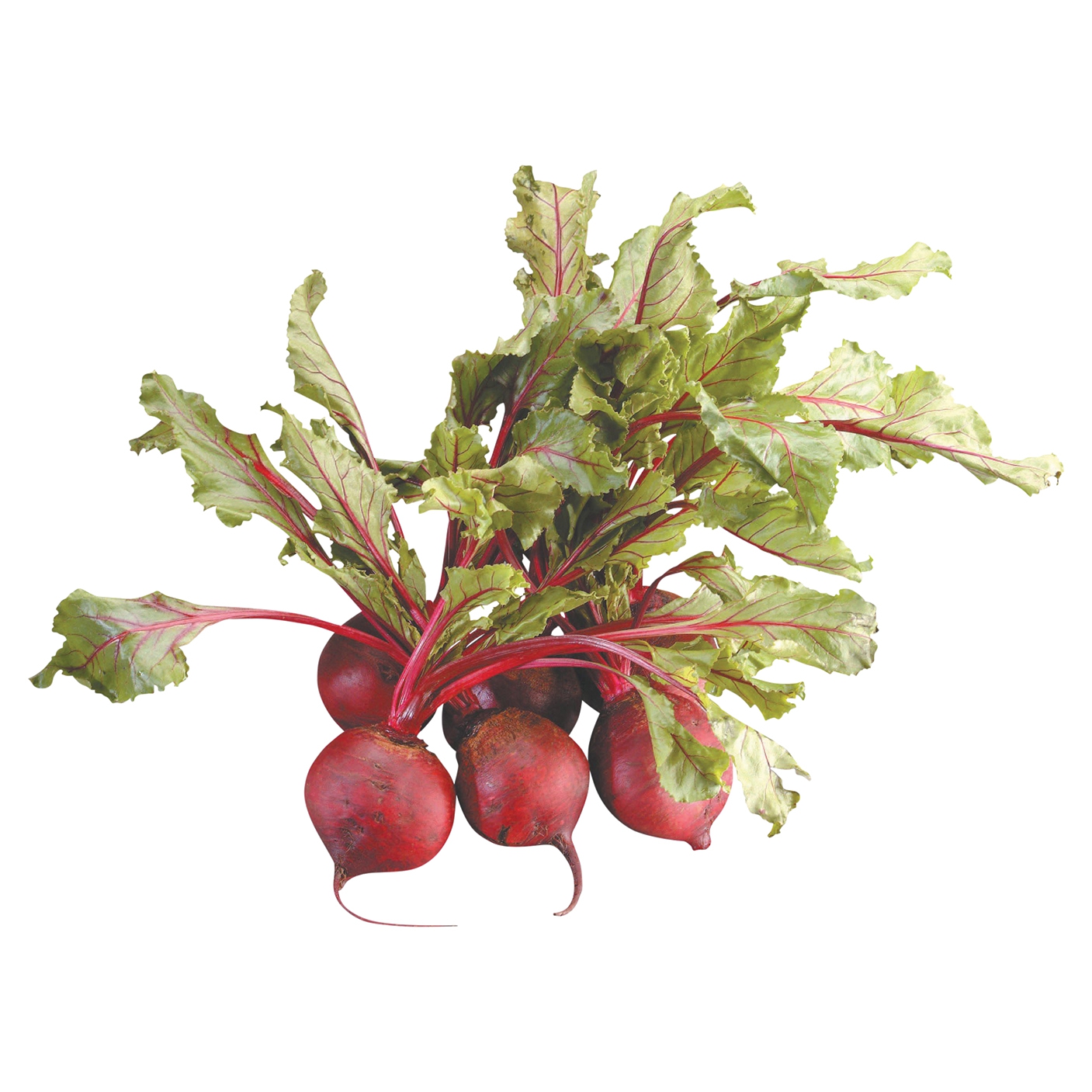 red beets bunch
